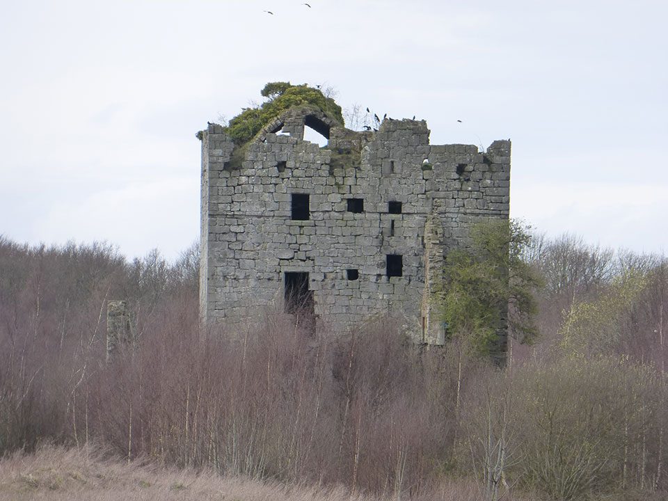 Almond Castle Development | Scottish Castles Association